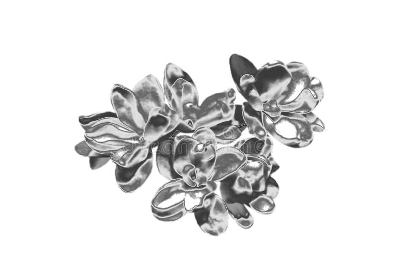 Silver flower stock photo. Image of black, beauty, lily - 96071286