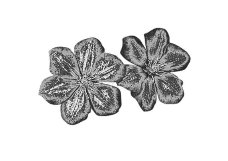 Silver flower stock image. Image of jewelry, bouquet - 96072973