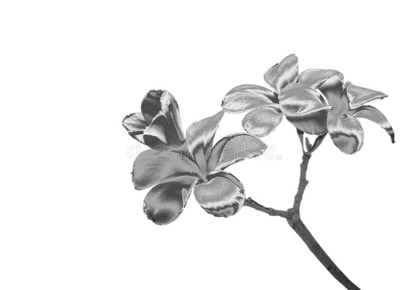 Silver flower stock image. Image of textures, flower - 96073135