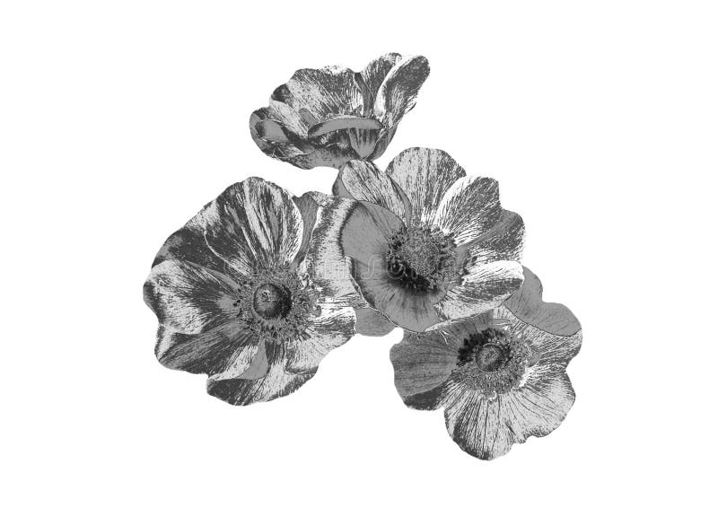 Silver flower stock photo. Image of flora, abstraction - 96073270