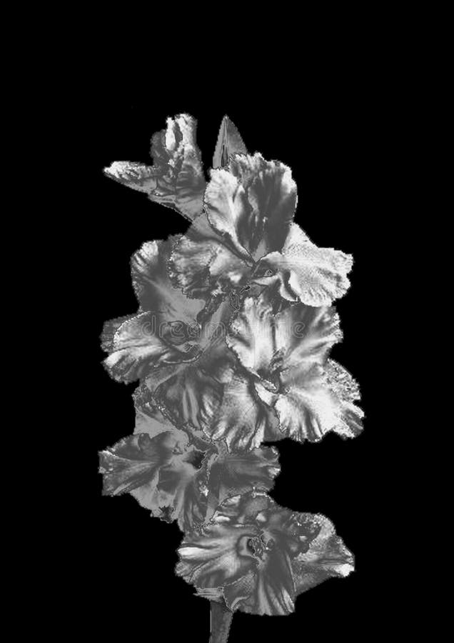 Silver flower stock image. Image of flowers, beauty, jewelry - 96073511