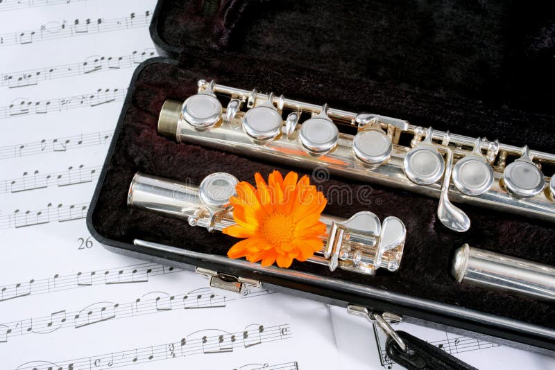 Silver Flute Between Dots Picture. Image: 5685621