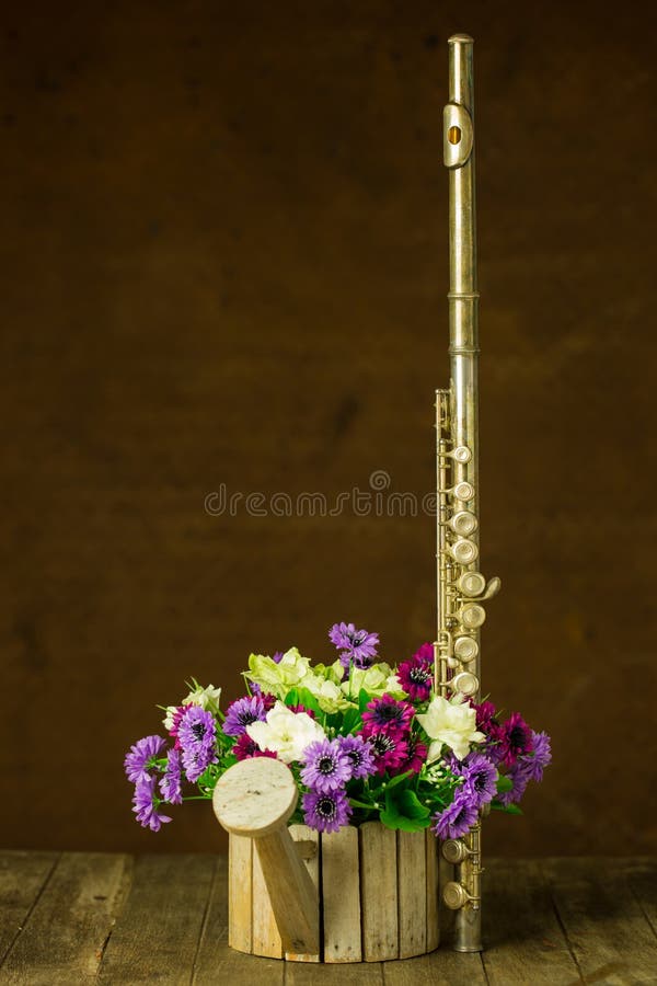 Flute flower in the pond stock image. Image of northeastern - 144963847