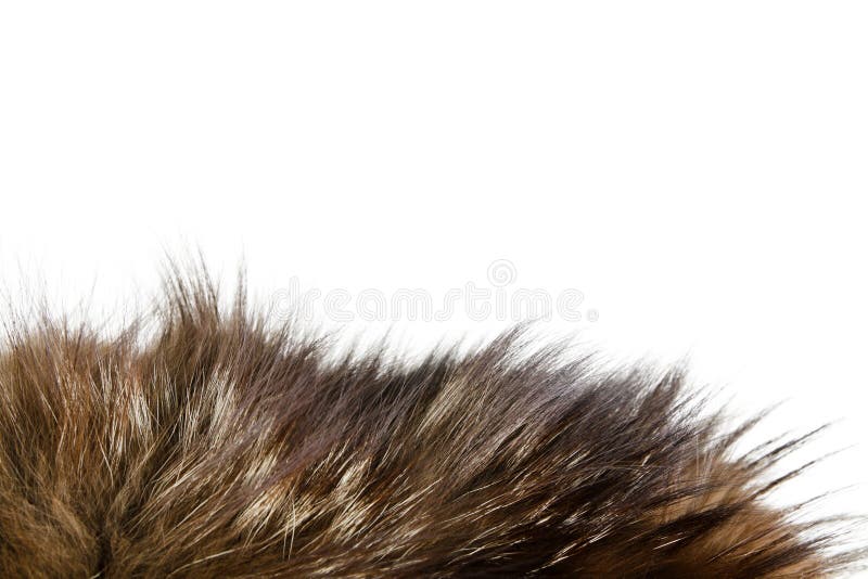 Fur Texture. Silver Fox Fur. Stock Image - Image of texture, spotty ...