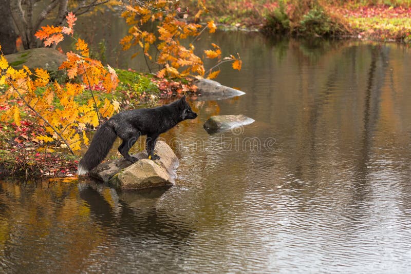 Profile Rock stock photo. Image of nature, mountains - 34146836