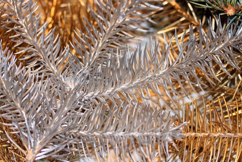 Silver and Golden Pine Tree Branches Stock Photo - Image of background ...