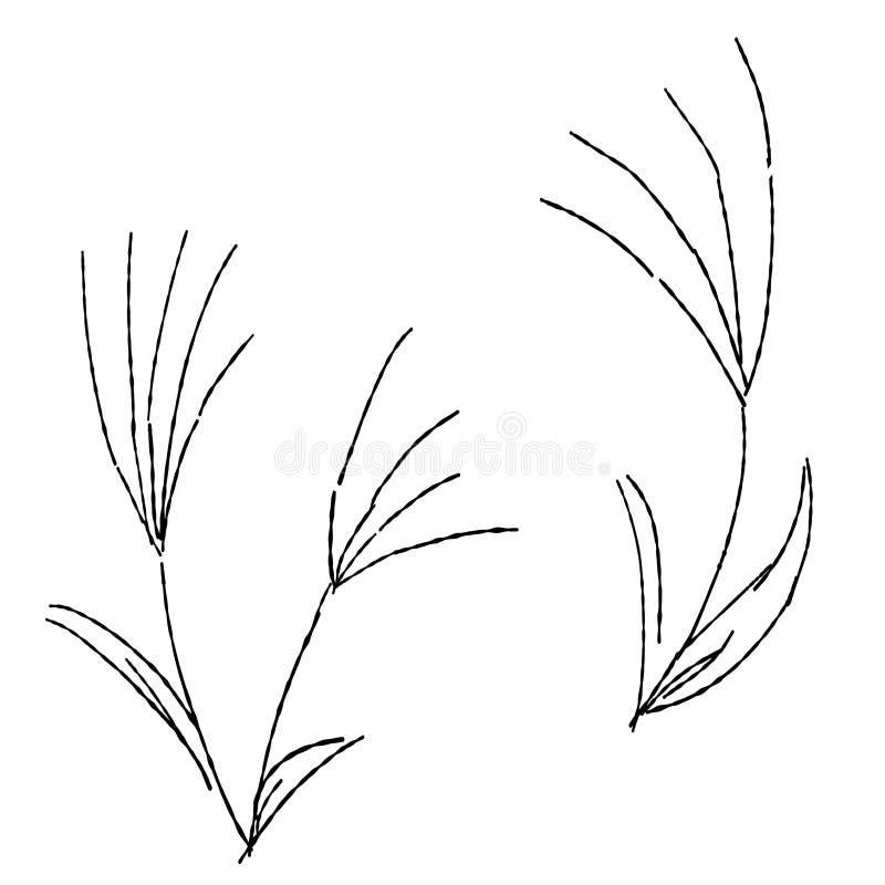 Grass Line Drawing Stock Illustrations – 32,404 Grass Line Drawing ...