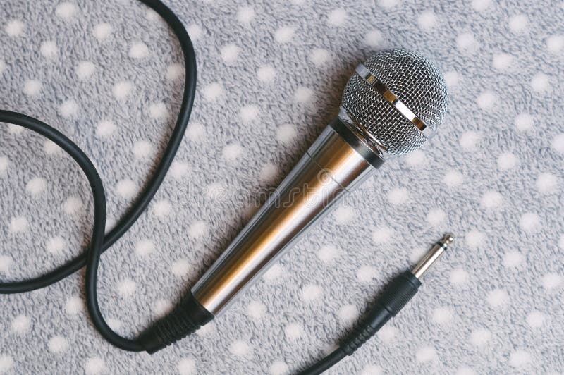 Silver Handheld Ball Head Microphone, Flat Lay. Dynamic Vocal ...