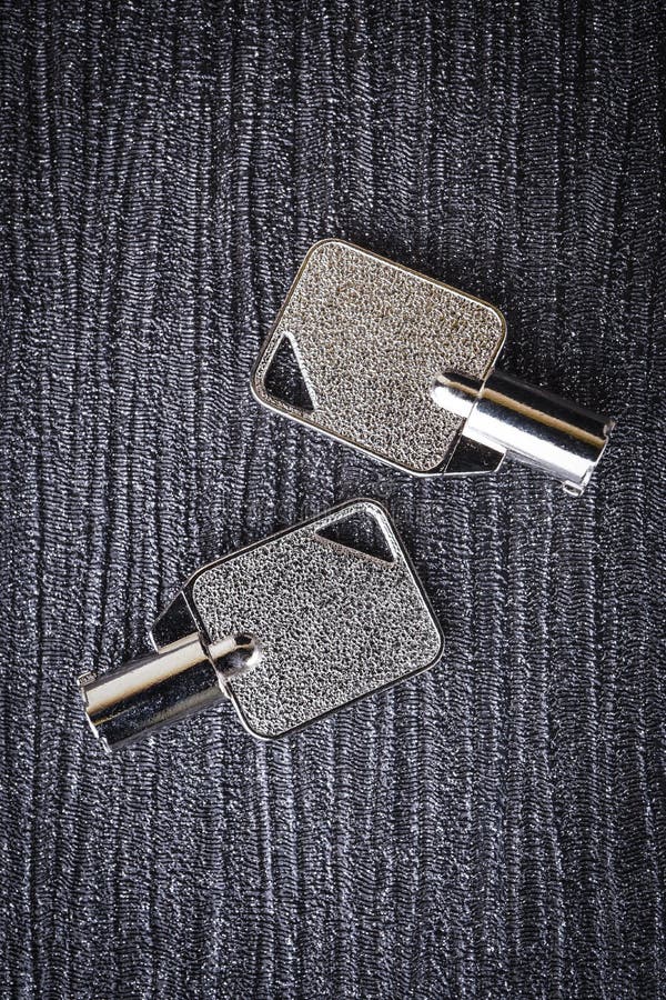 Silver Keys stock photo. Image of open, design, golden - 200018688