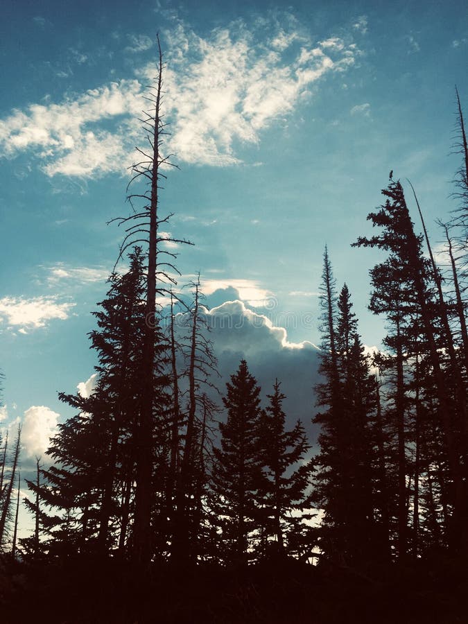 Silver Lining stock image. Image of glowing, silver - 192298903