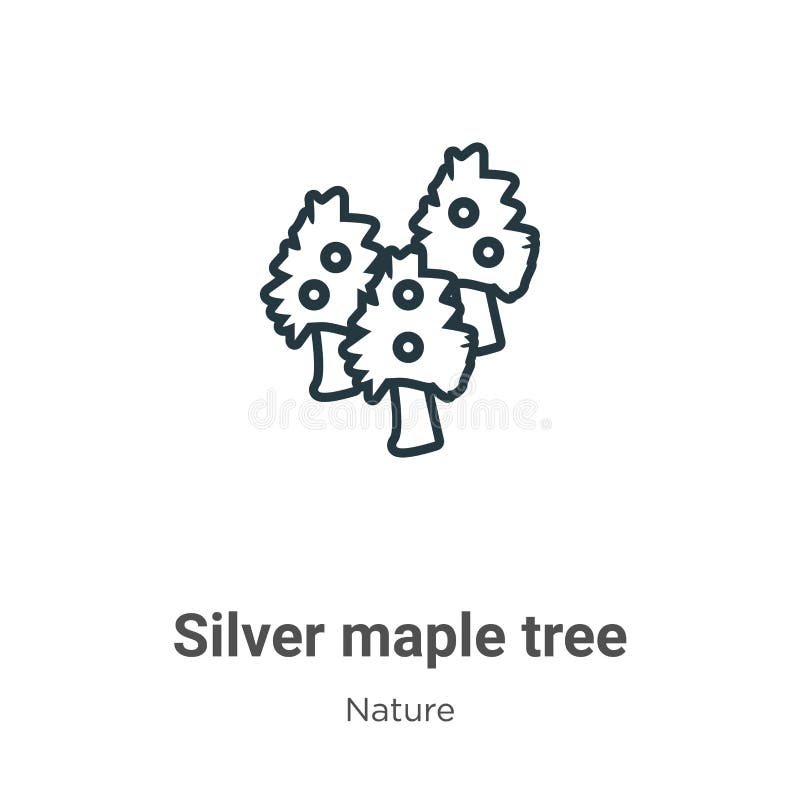Silver Maple Tree Image Stock Illustrations – 614 Silver Maple Tree ...