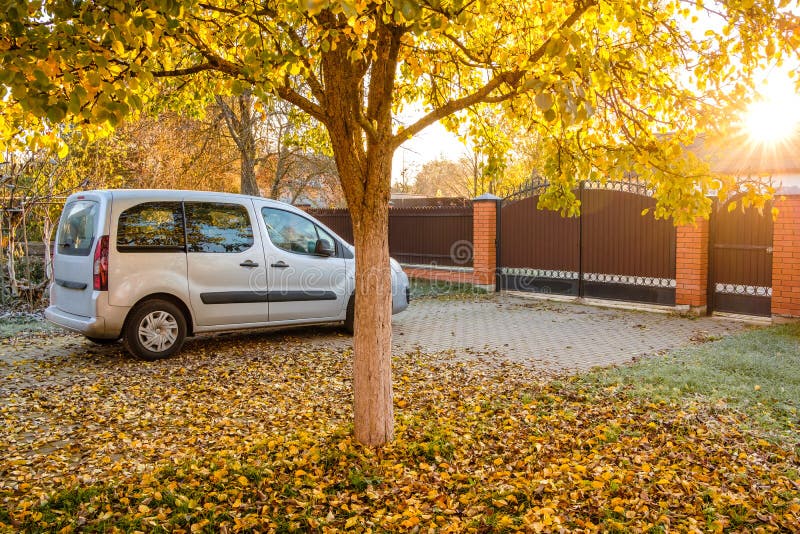 A Silver Minivan is Parked Under a Yellow Autumn Tree in the Yard in ...
