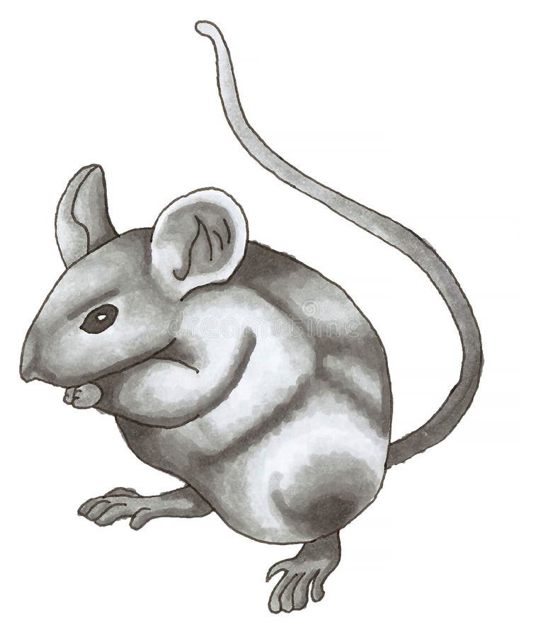 Silver Mouse Illustration stock vector. Illustration of photorealistic ...