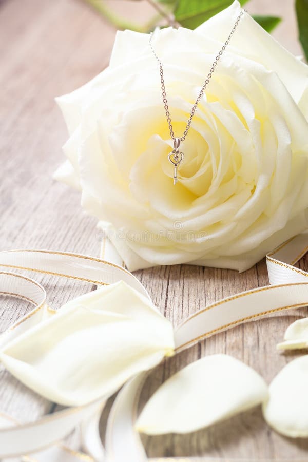 Silver Necklace on a White Rose Flower Stock Photo - Image of beauty ...