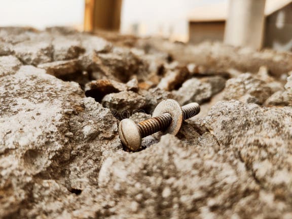 Silver old backlight stock photo. Image of invertebrate - 227256554