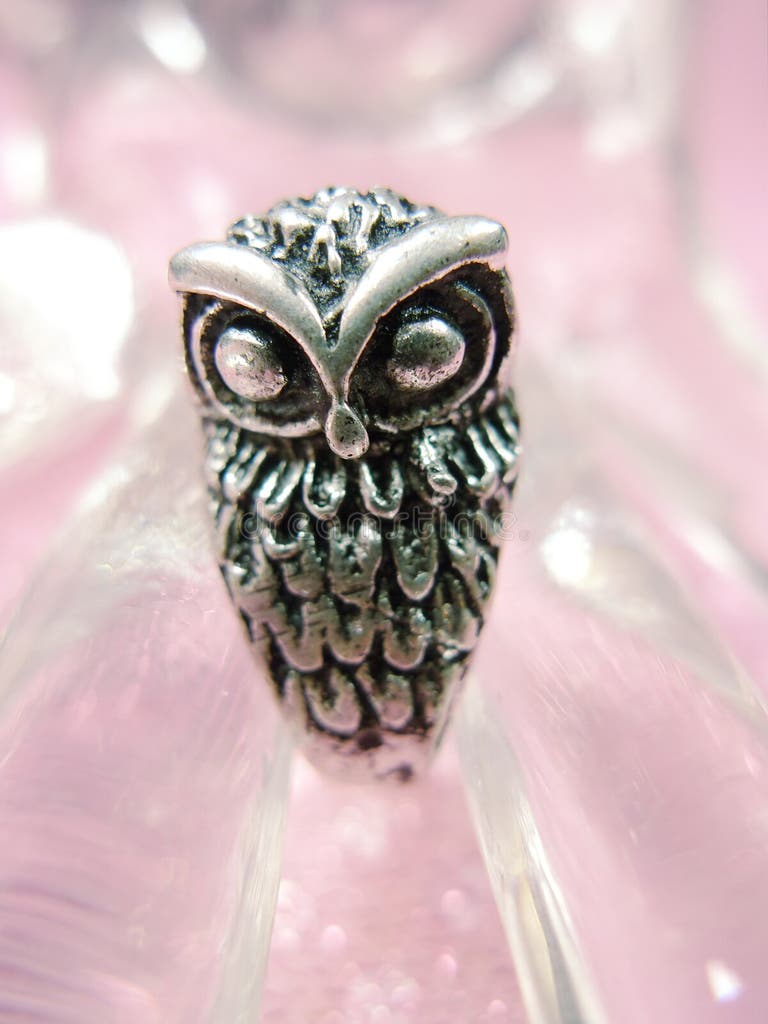 1,030 Silver Owl Stock Photos - Free & Royalty-Free Stock Photos from ...