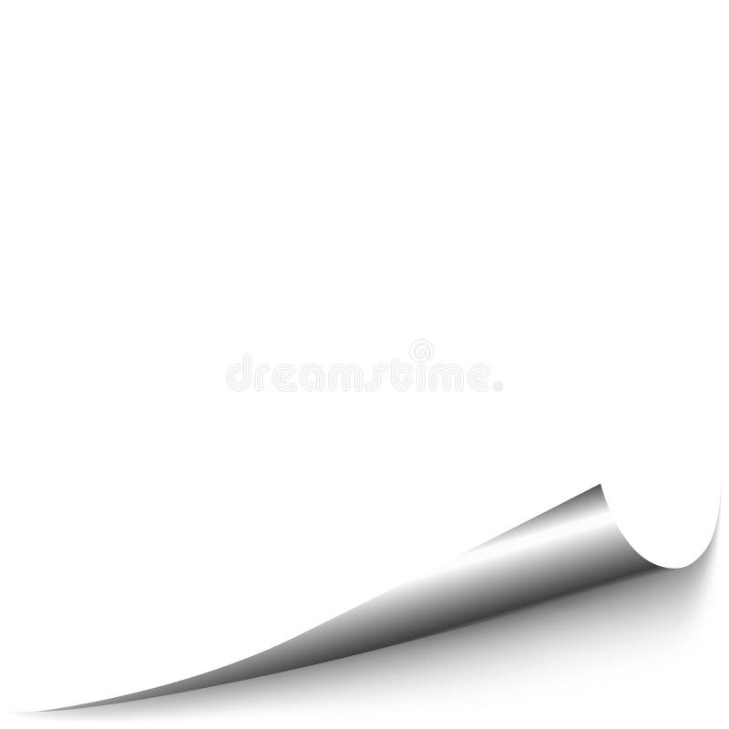 Curled White Paper Edges on a Transparent Background. Vector Stock ...