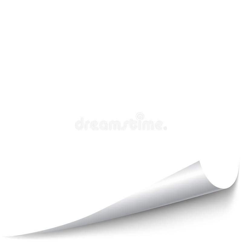 Curled White Paper Edges on a Transparent Background. Vector Stock ...