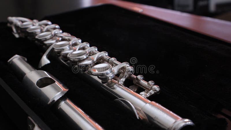 Piccolo, Piccolos, Wind, Woodwinds Classical Music Instrument Isolated ...