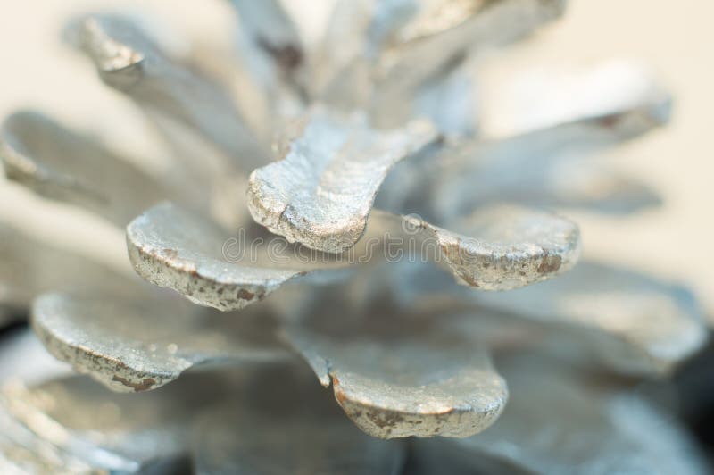 Silver pine cone stock photo. Image of close, object - 81388194