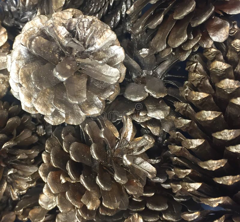 Silver pine cones stock image. Image of holiday, look - 89648379