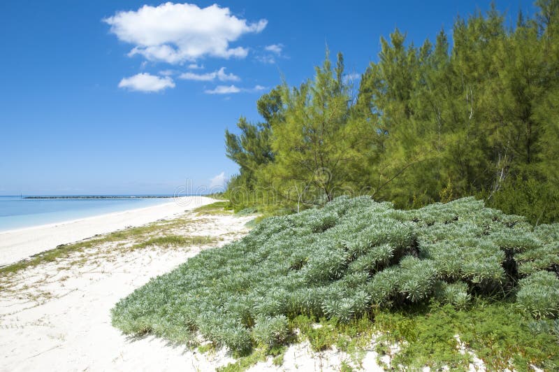 Silver Point Beach stock image. Image of nature, resorts - 11372949