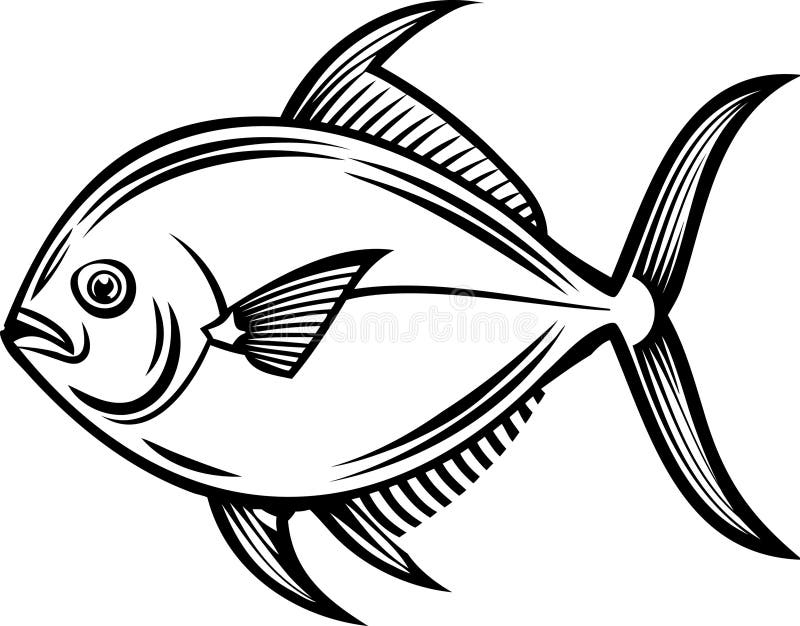 Silver pomfret fish vector stock vector. Illustration of pomfret ...