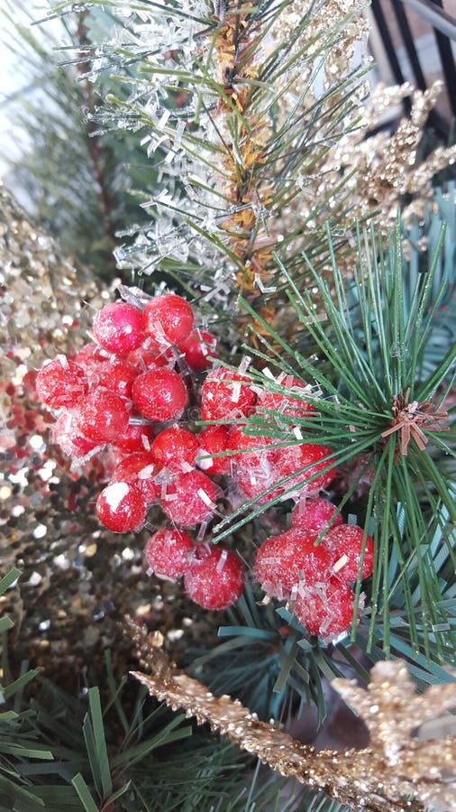 Silver Red Green Christmas Background Stock Image - Image of poinsettia ...