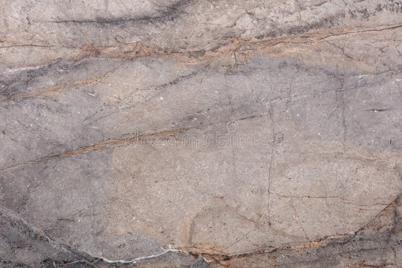 Silver Roots Marble Background, Texture in Stylish Tone. Stock Image ...