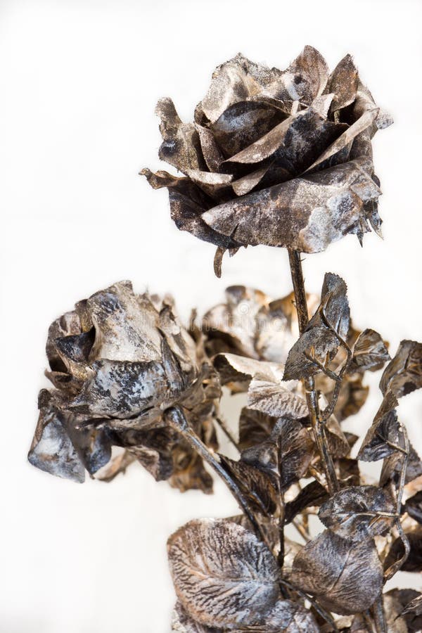 Dead Roses Marriage stock image. Image of breakup, petal - 32014885