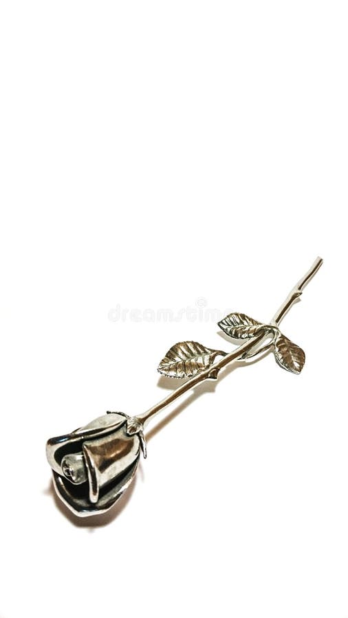 Silver Rose stock image. Image of marriage, friendship - 63677933