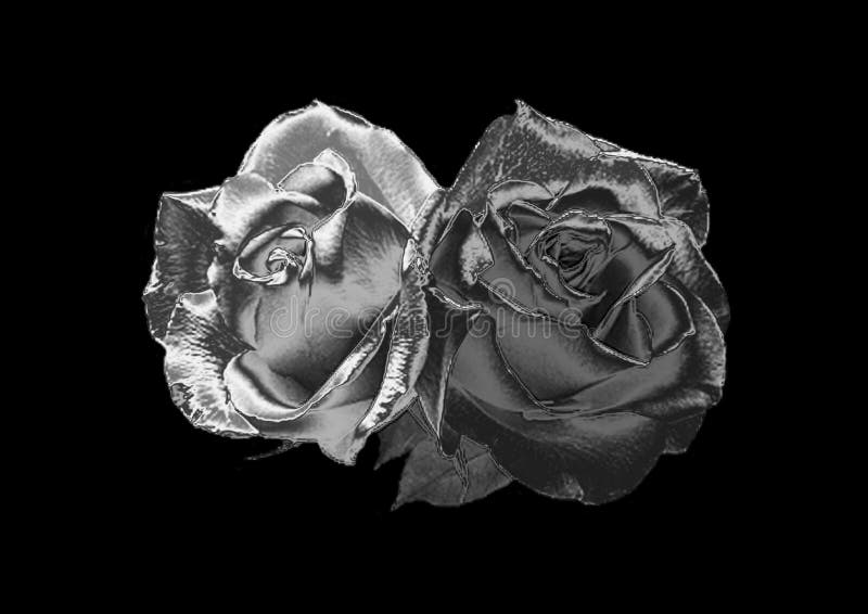 Silver rose stock photo. Image of silver, sheet, white - 96071096