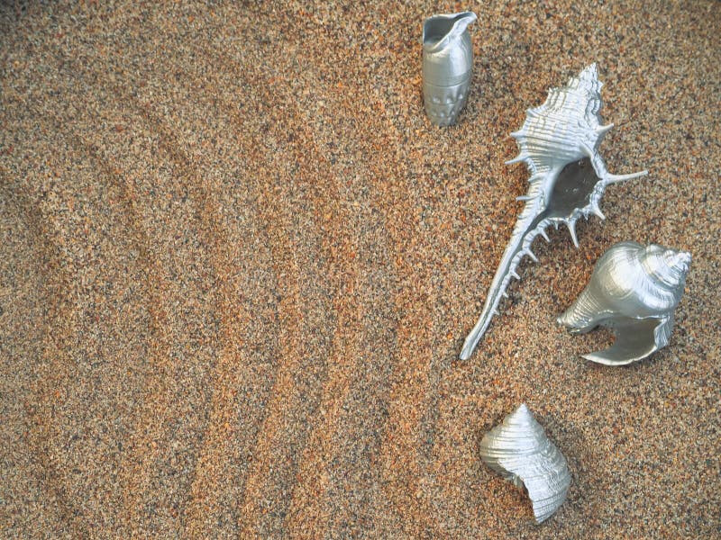 Silver Seashells on Sand for a Minimalist Summer Stock Photo - Image of ...