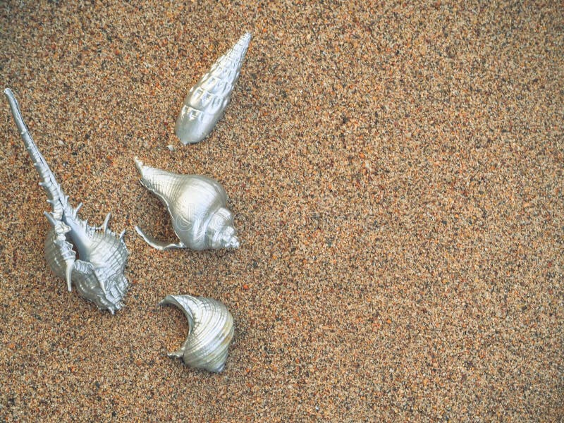 Silver Seashells on Sand for a Minimalist Summer Stock Image - Image of ...