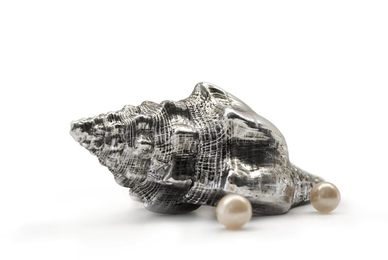Silver Shell Picture. Image: 5252664