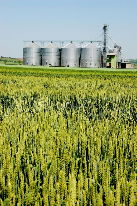 Silver silo stock photo. Image of structure, plant, steel - 11171790