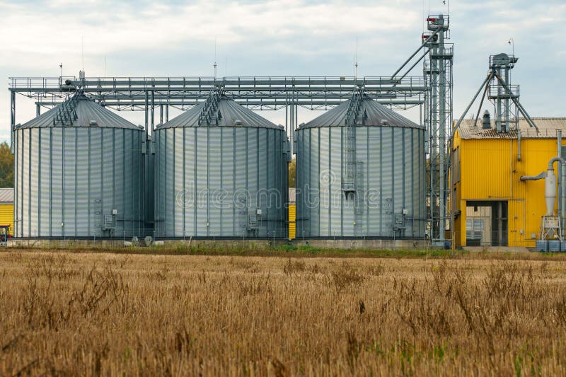 Silver Silos in the Field. a Modern Grain Storage, Processing and ...