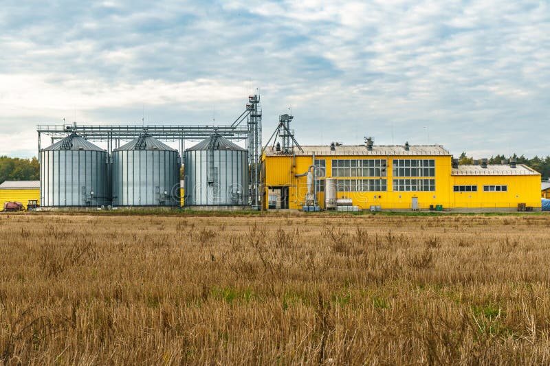 Silver Silos in the Field. a Modern Grain Storage, Processing and ...