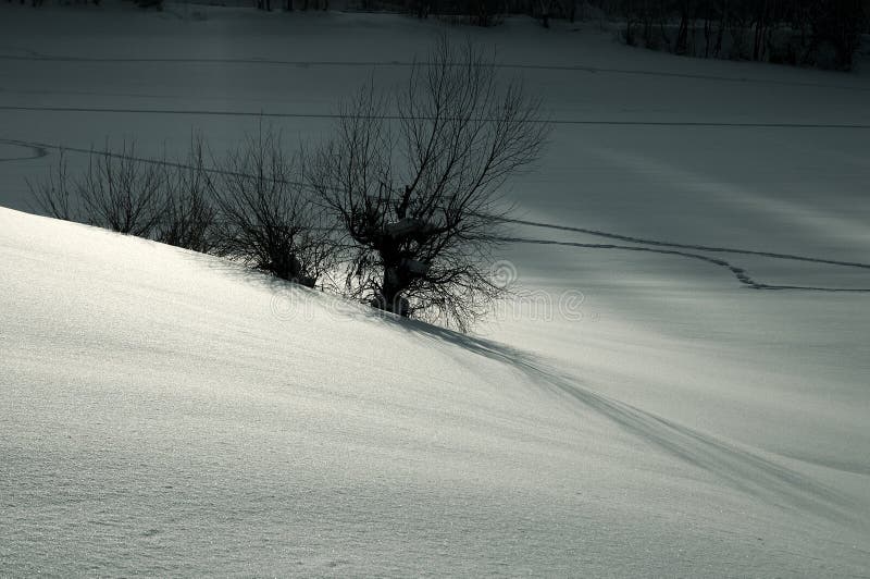 Silver snow landscape stock photo. Image of seasons, tracks - 494548