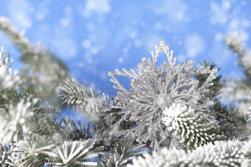 Silver Snowflake stock image. Image of white, close, holiday - 21439935