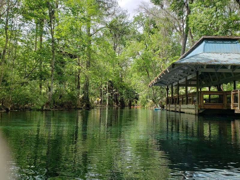 Silver Springs Florida Blue Water Kayak Stock Photo - Image of silver ...