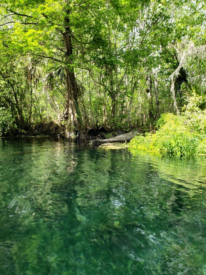 Silver Springs Florida Blue Water Kayak Stock Image - Image of springs ...
