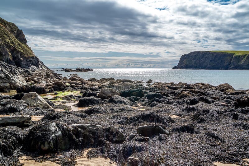 The Silver Strand in County Donegal - Ireland Stock Photo - Image of ...