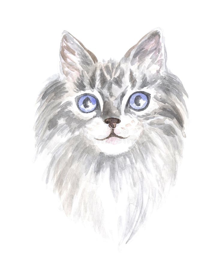 Silver tabby cat stock illustration. Illustration of domestic - 73517662