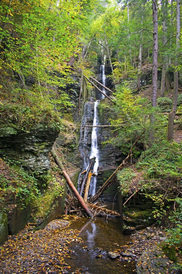 Silver Thread Falls in Dingmans Ferry, PA -01 Stock Image - Image of ...