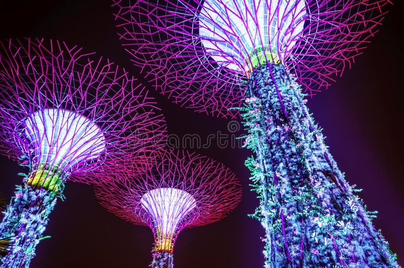 Silver Tree editorial stock photo. Image of outdoors - 44705033