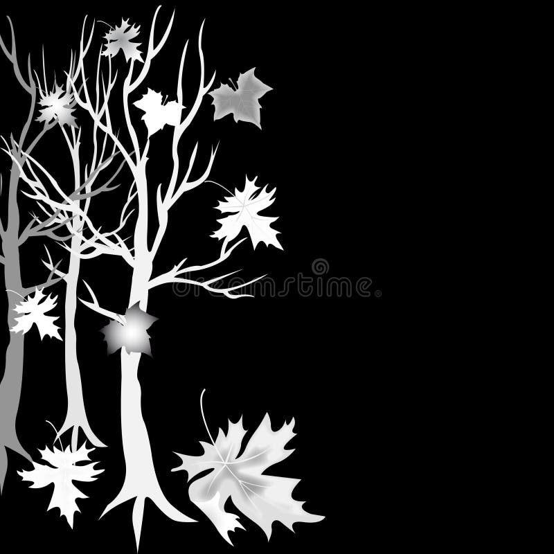 Silver Tree Maple on Black Background Stock Vector - Illustration of ...