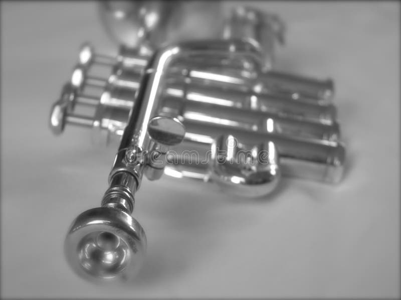 Silver Trumpet II Picture. Image: 1585048