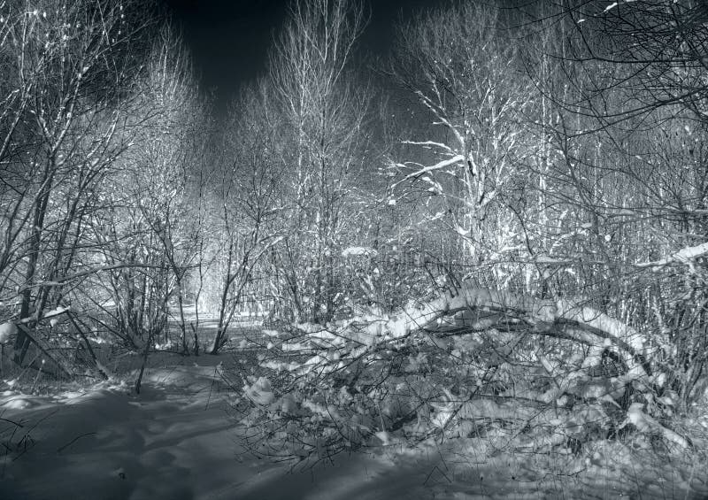 Silver winter stock image. Image of skies, crystals, hill - 3527137