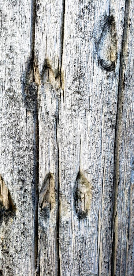 Silver wood background. stock photo. Image of material - 126017826